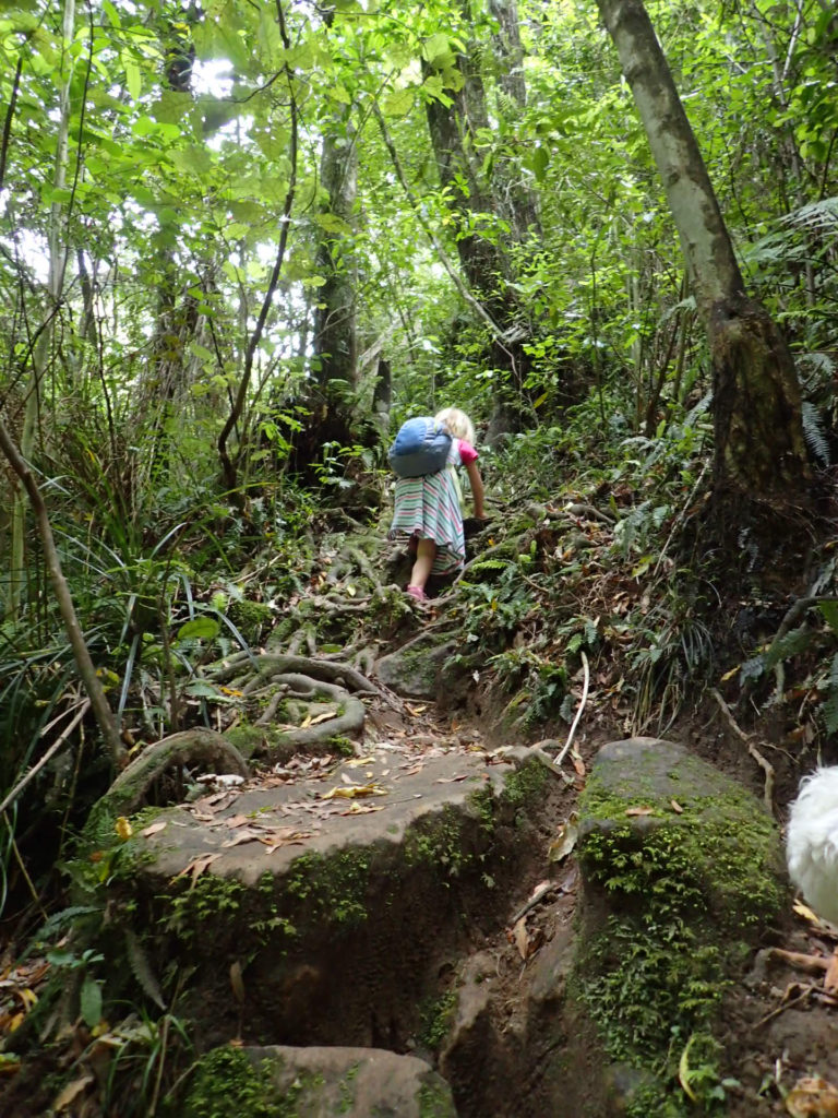 The Benefits of Tramping with Children - Storypark Blog